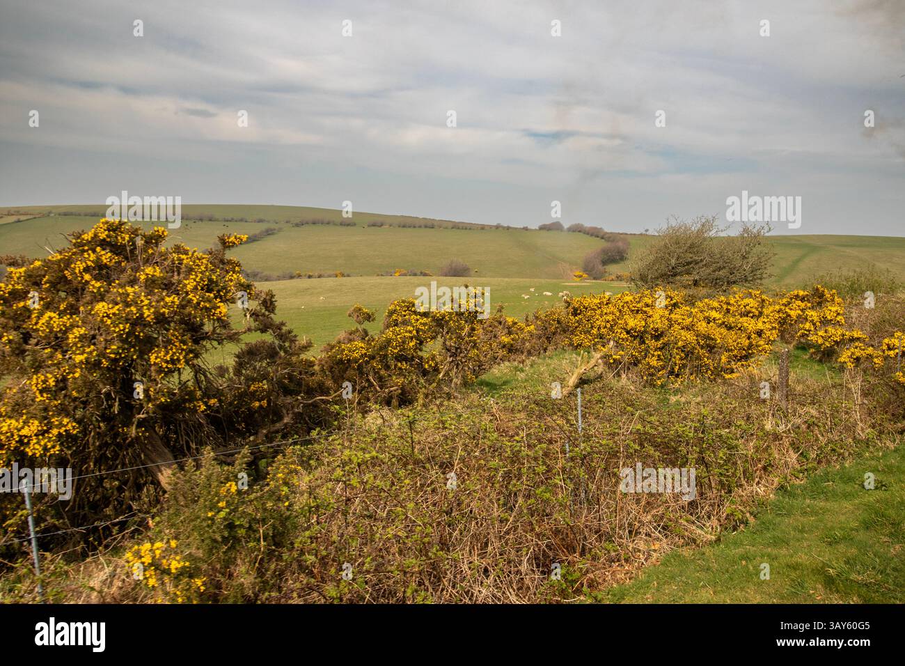 Lynton & Barnstaple narrow gauge railway tourist attraction in North ...