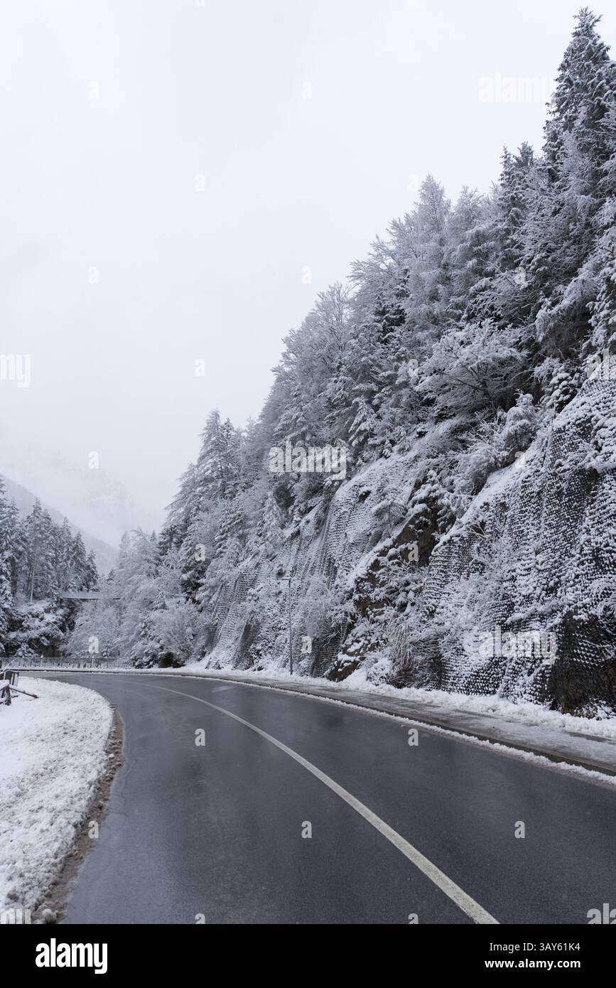 A wet asphalt road curves through a snowy forest under an overcast sky ...