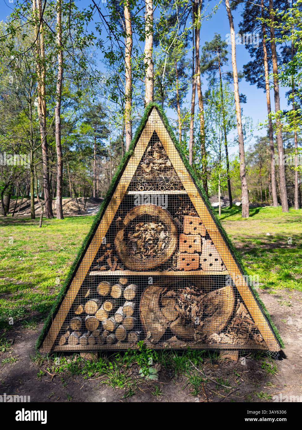 Large wooden insect hotel (bug house) in a sunny forest park setting ...