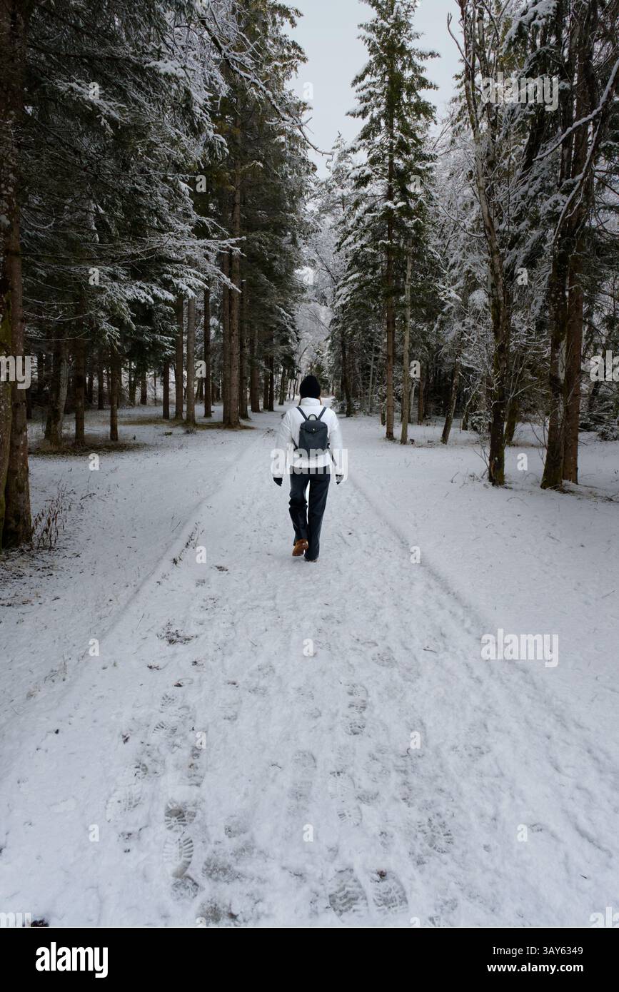A girl strolls through a snow-laden forest in Kranjska Gora, Slovenia ...