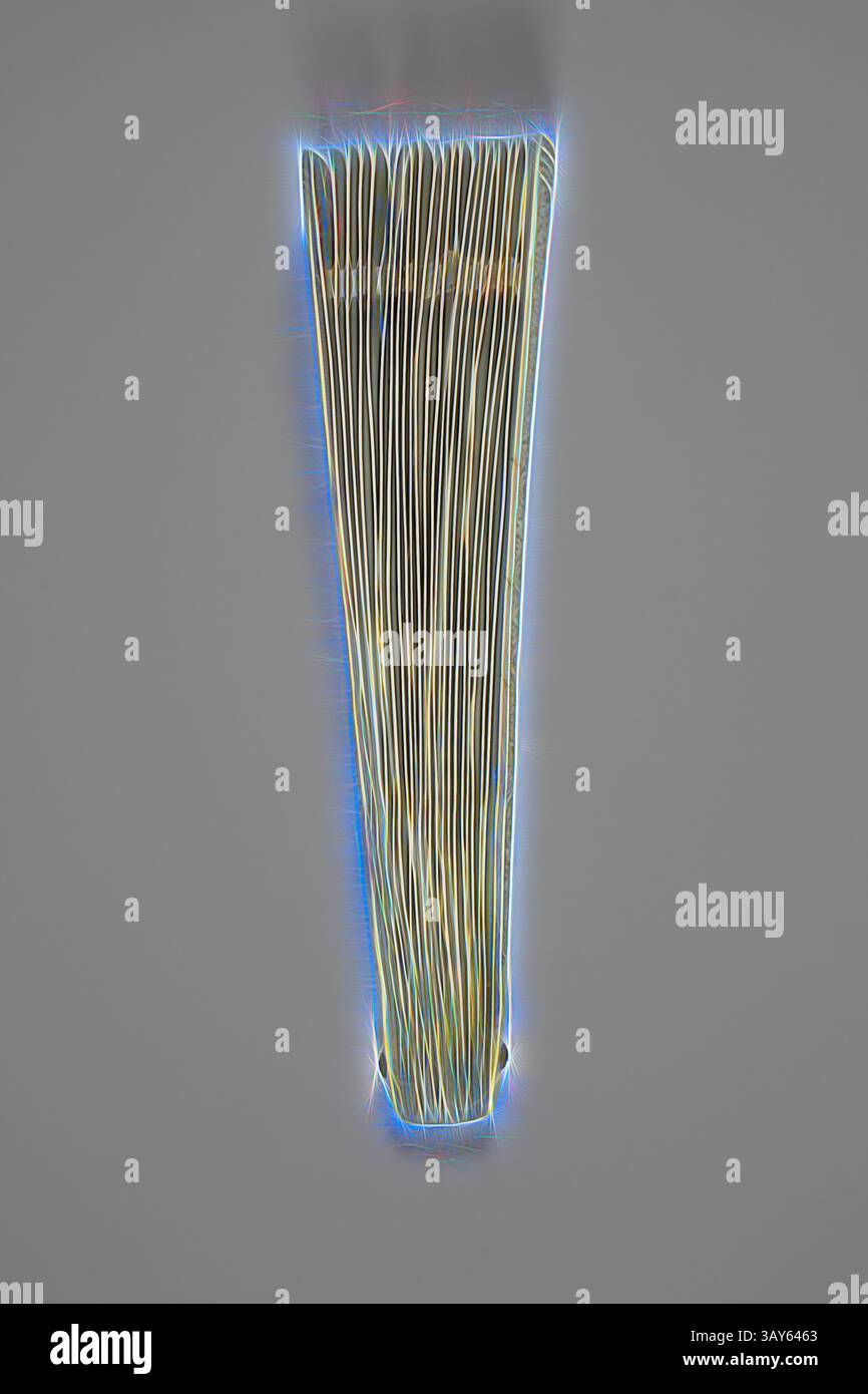 A stylized, elongated object with intricate lines and a glowing outline ...