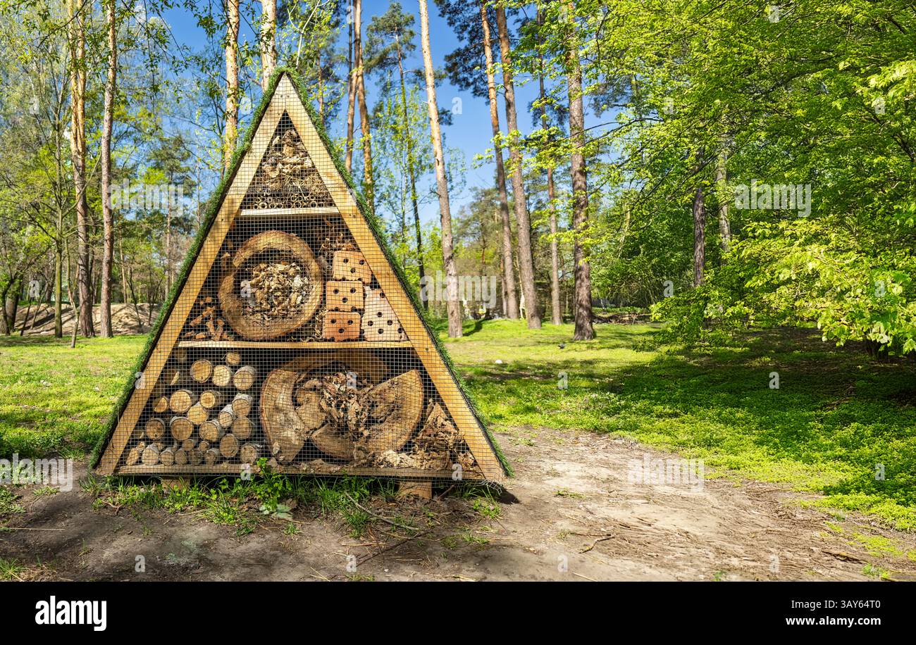 Triangular Insect Hotel in Spring Forest Setting.Bug Hotel with ...
