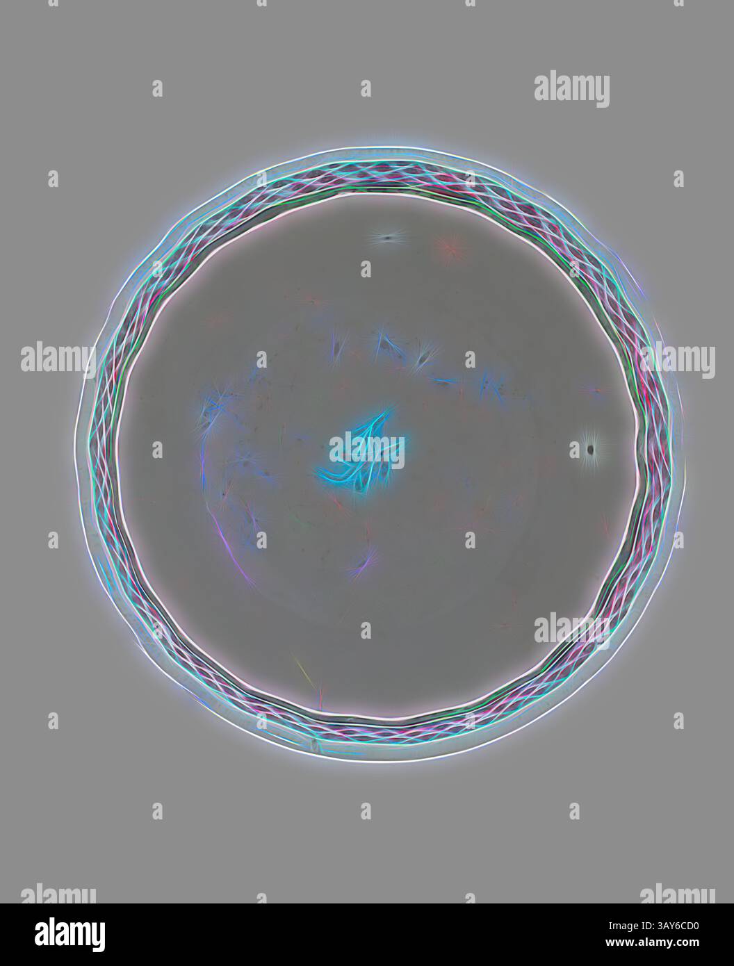 A circular design featuring intricate patterns and vibrant, glowing ...