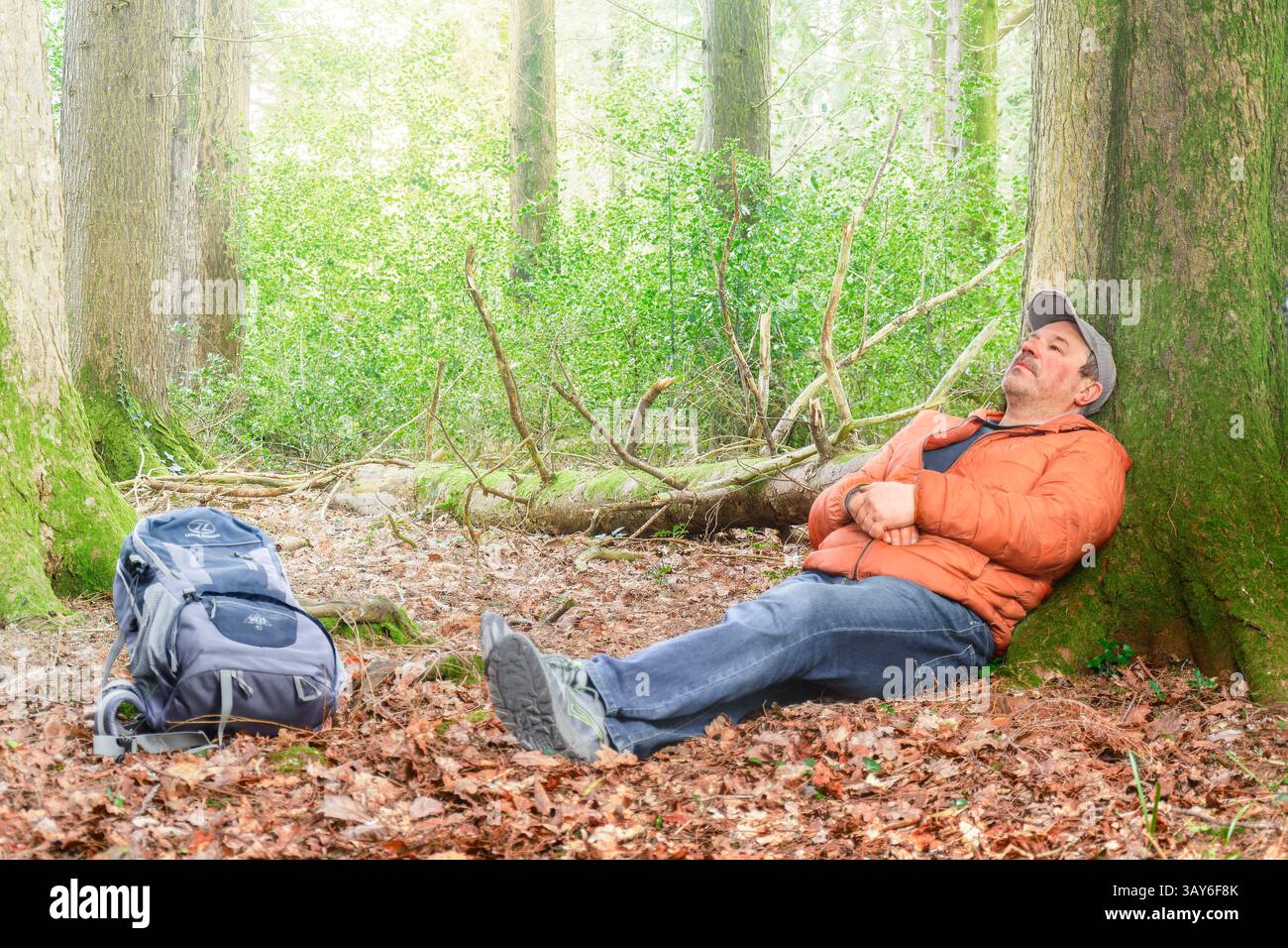 A man relaxes in the forest, surrounded by nature - peaceful moments in ...