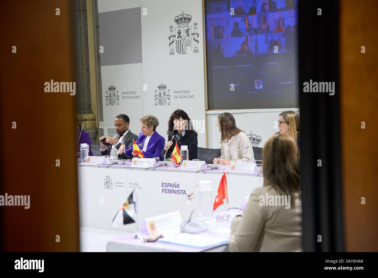 The Minister of Equality, Ana Redondo (c), during the Sectorial ...