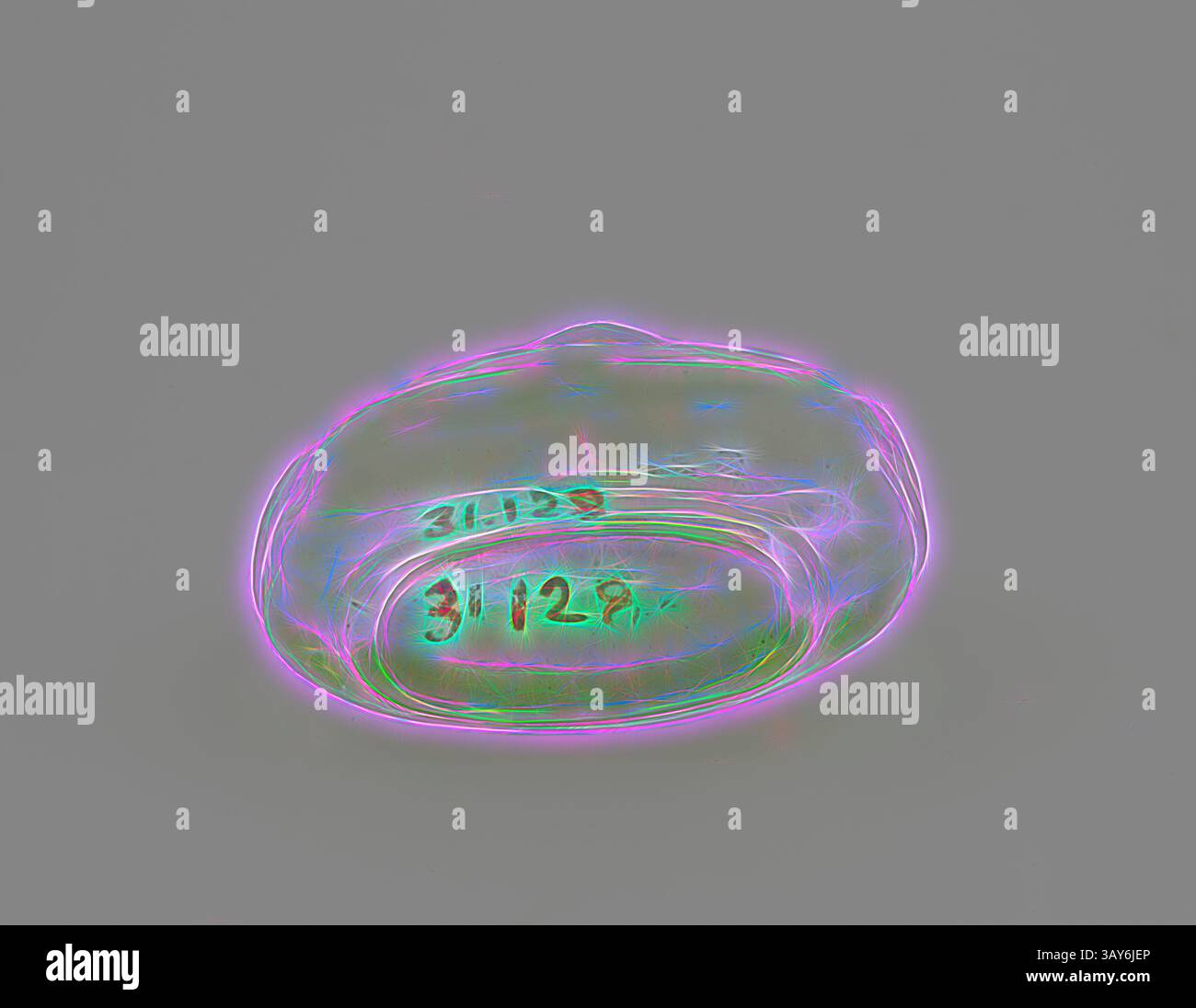 A translucent object with rounded edges, featuring engraved numbers ...