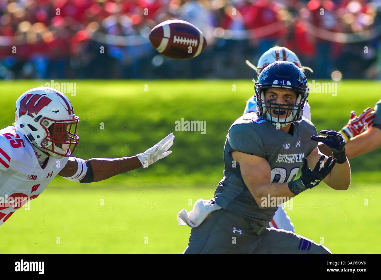 Northwestern wildcats wide receiver austin carr 80 hi-res stock ...