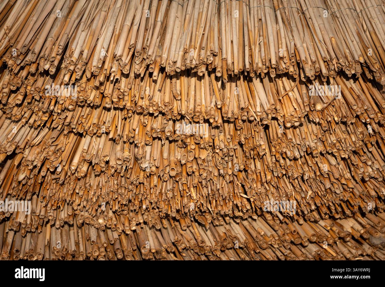 Warm glow setting sun highlights hi-res stock photography and images ...