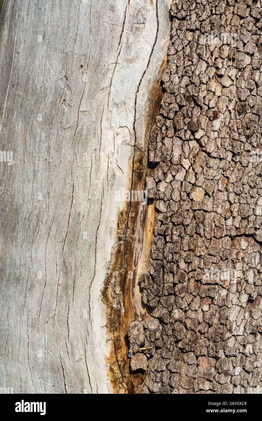 Layers of time hi-res stock photography and images - Alamy