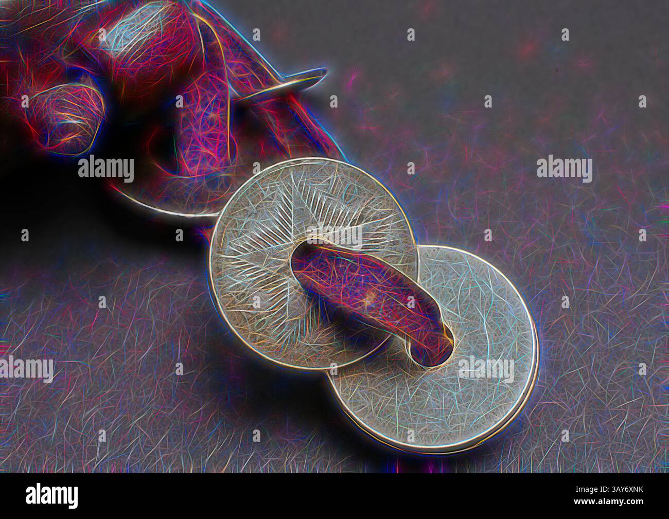 A close-up view of two interlocking circular objects featuring intricate patterns and textures ...