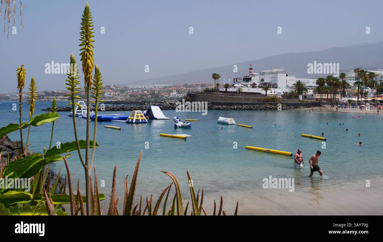 Playa de la Pinta beach at Costa Adeje, Tenerife Stock Photo - Alamy