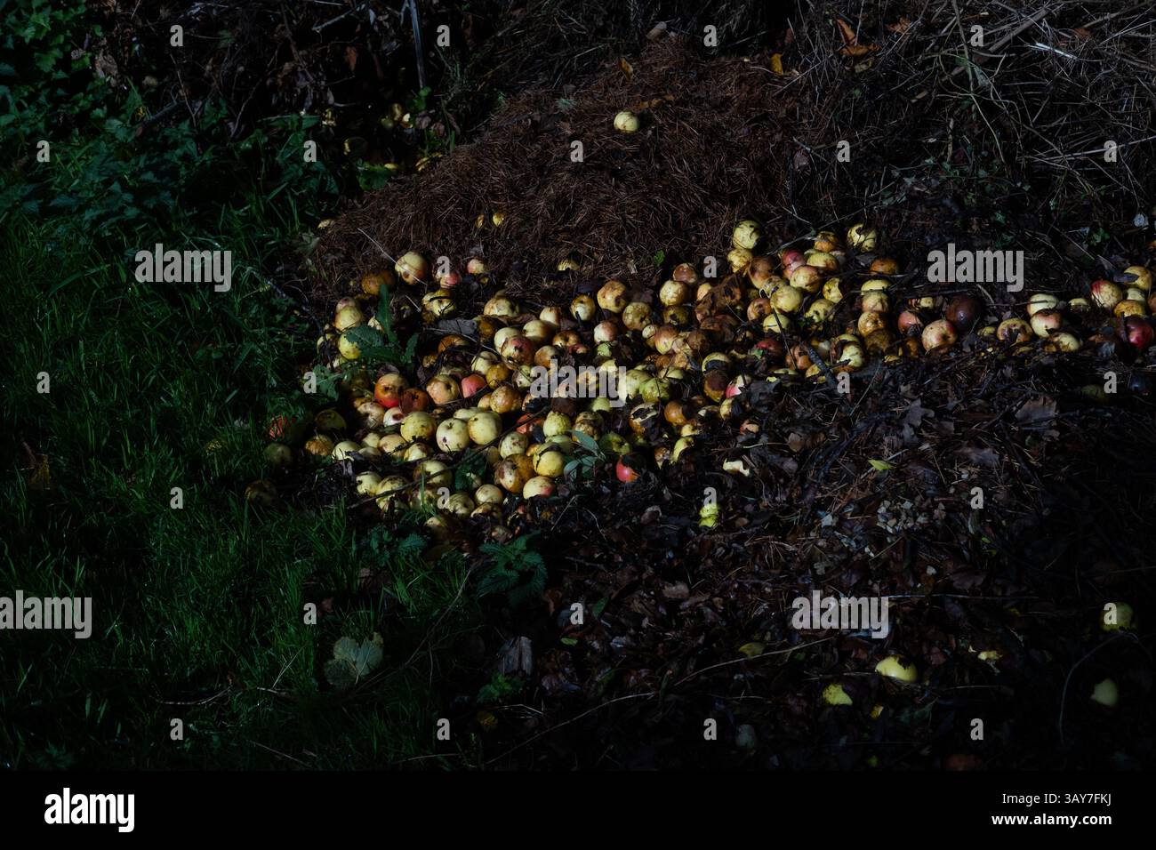 Compost on soil hi-res stock photography and images - Alamy