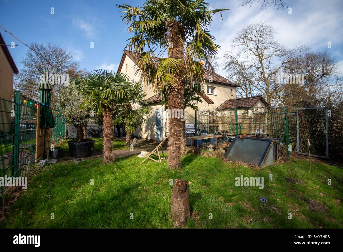 Das Essener Neubauprojekt Litterode. 16.10.2024, EU, DEU, Deutschland ...