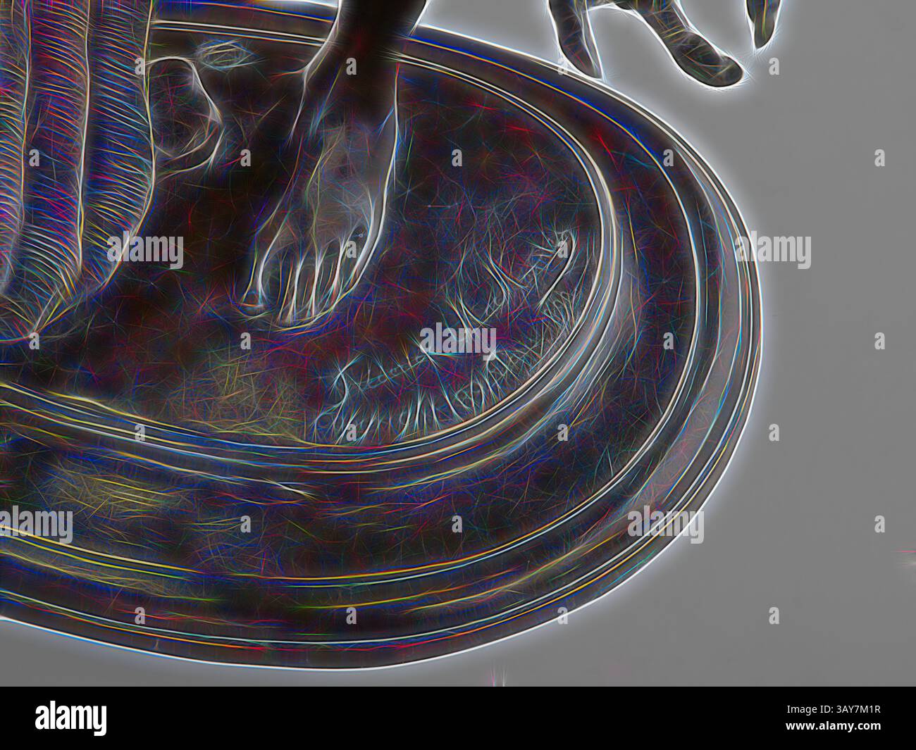 A detailed close-up showcasing an intricately designed sculpture ...