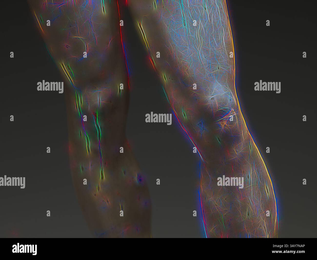 A close-up view of a human leg, showcasing intricate details of the ...