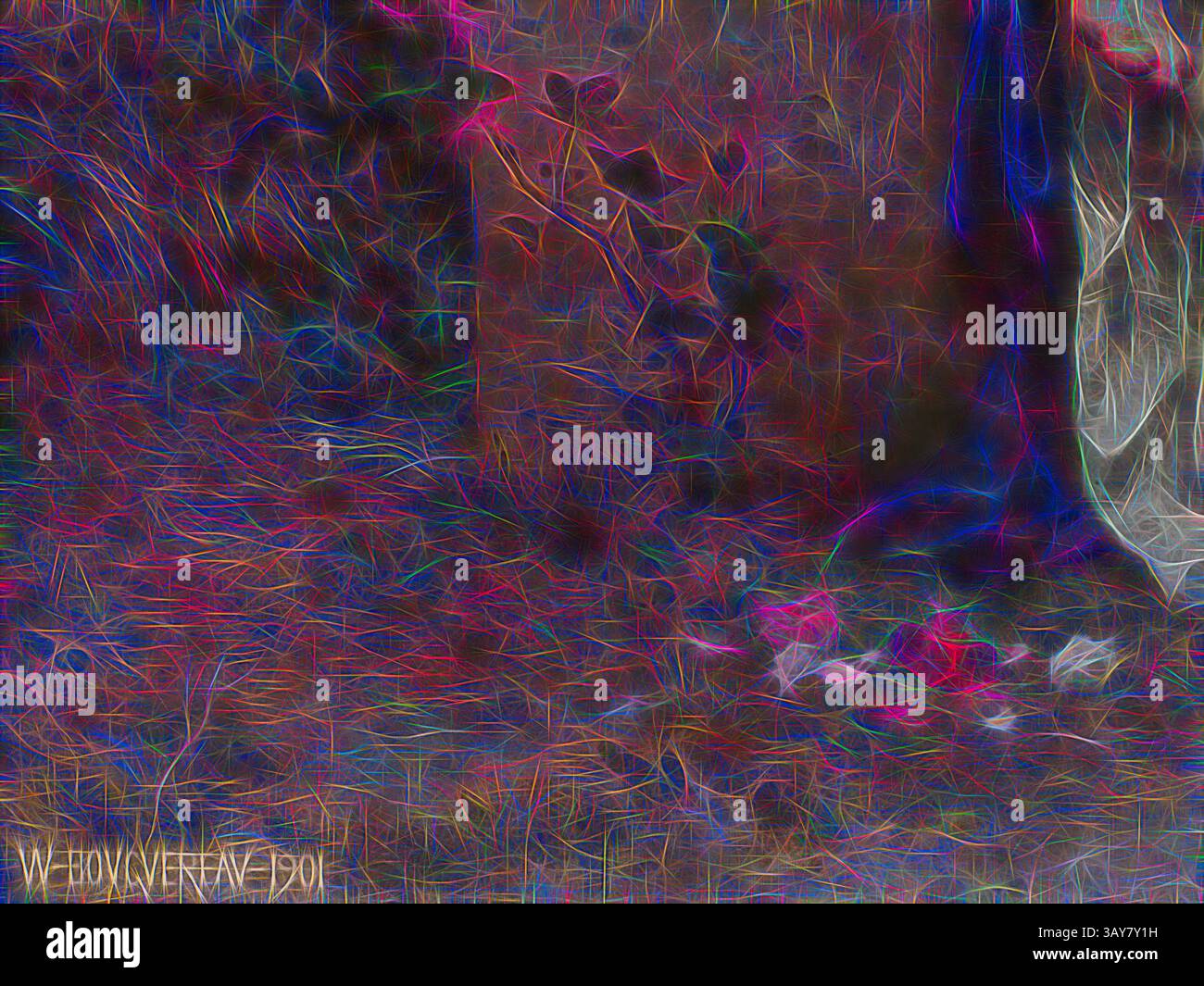 Ra ve de printemps hi-res stock photography and images - Alamy