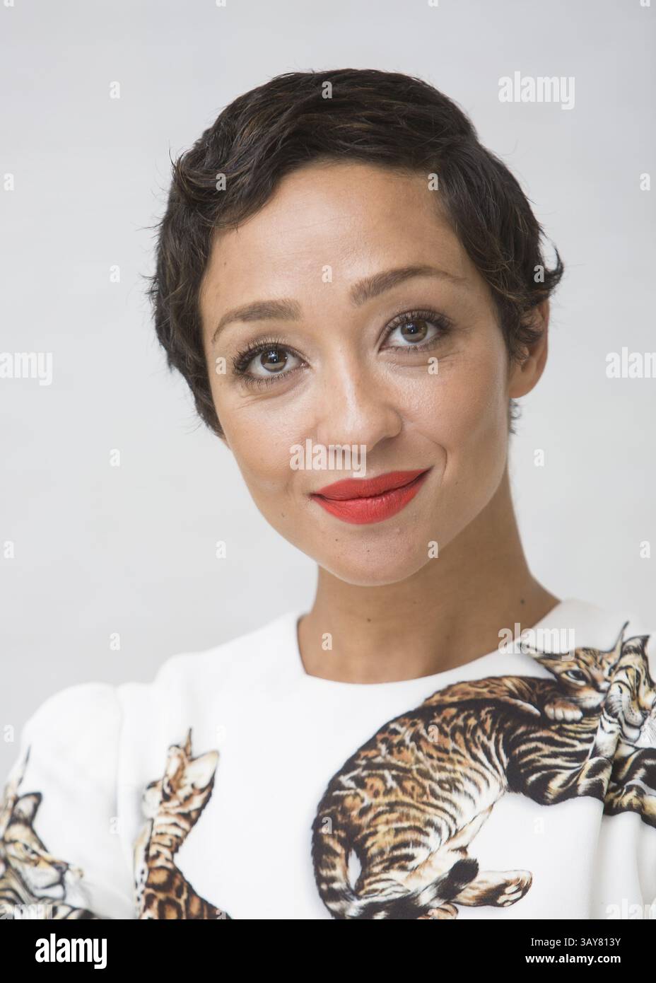 J13a7898 hi-res stock photography and images - Alamy