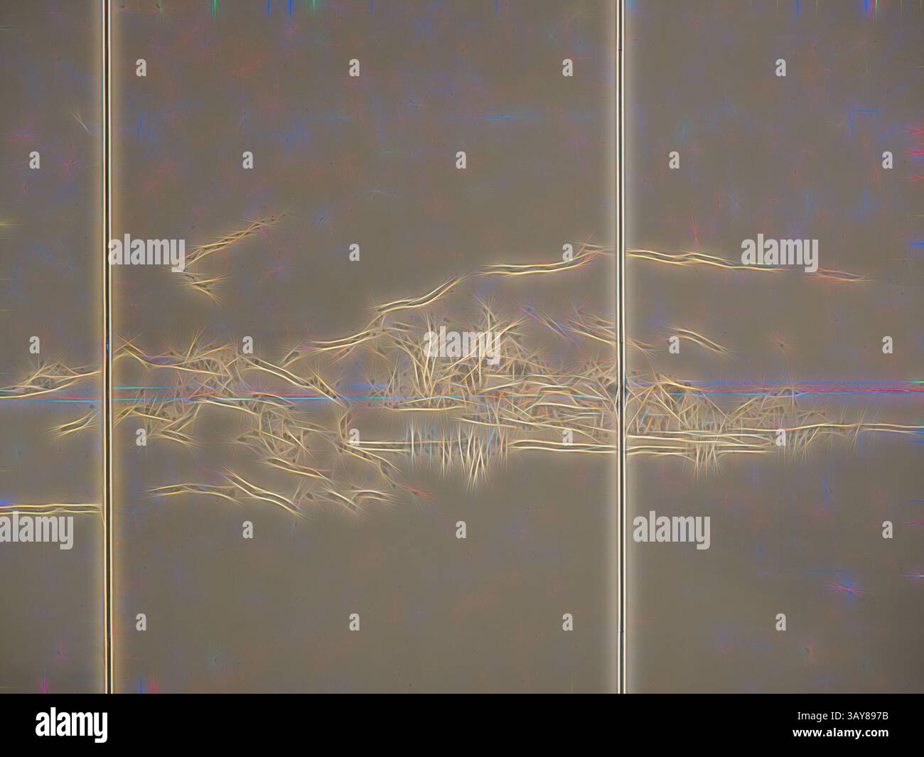 Serene waterside scene features hi-res stock photography and images - Alamy