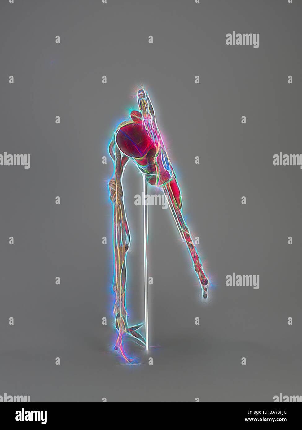 A detailed anatomical representation of a human arm and hand ...