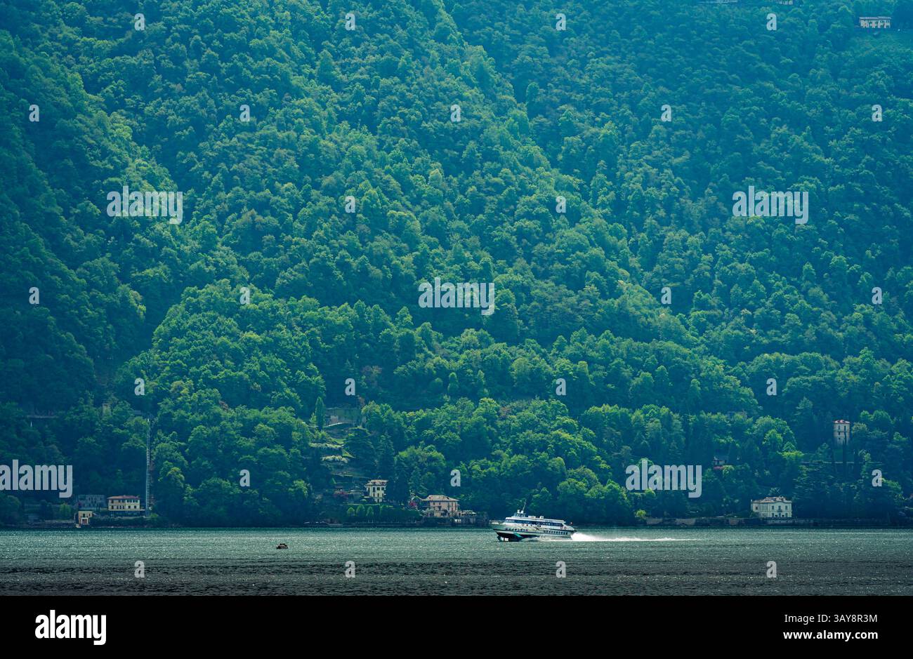 Hydrofoil at speed on lake como with steep tre-clad hillside in ...