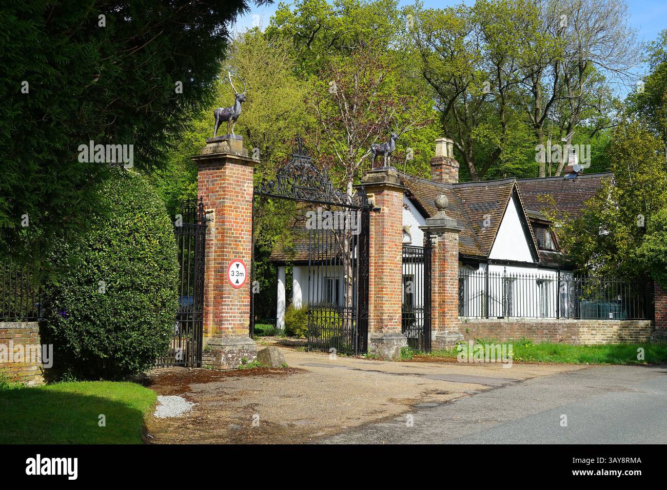 The stag topped gates to Stagenhoe Park Stock Photo - Alamy