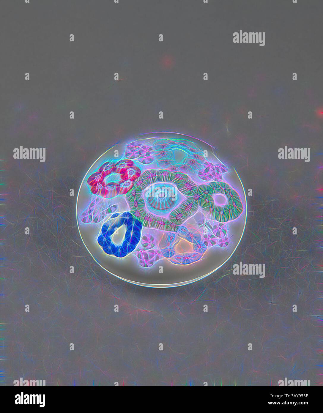 A circular dish adorned with intricate floral patterns, showcasing ...