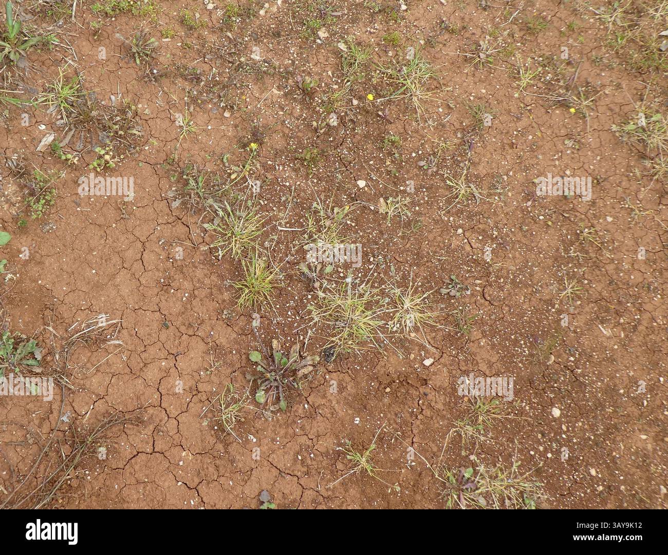 Soil degradation hi-res stock photography and images - Alamy