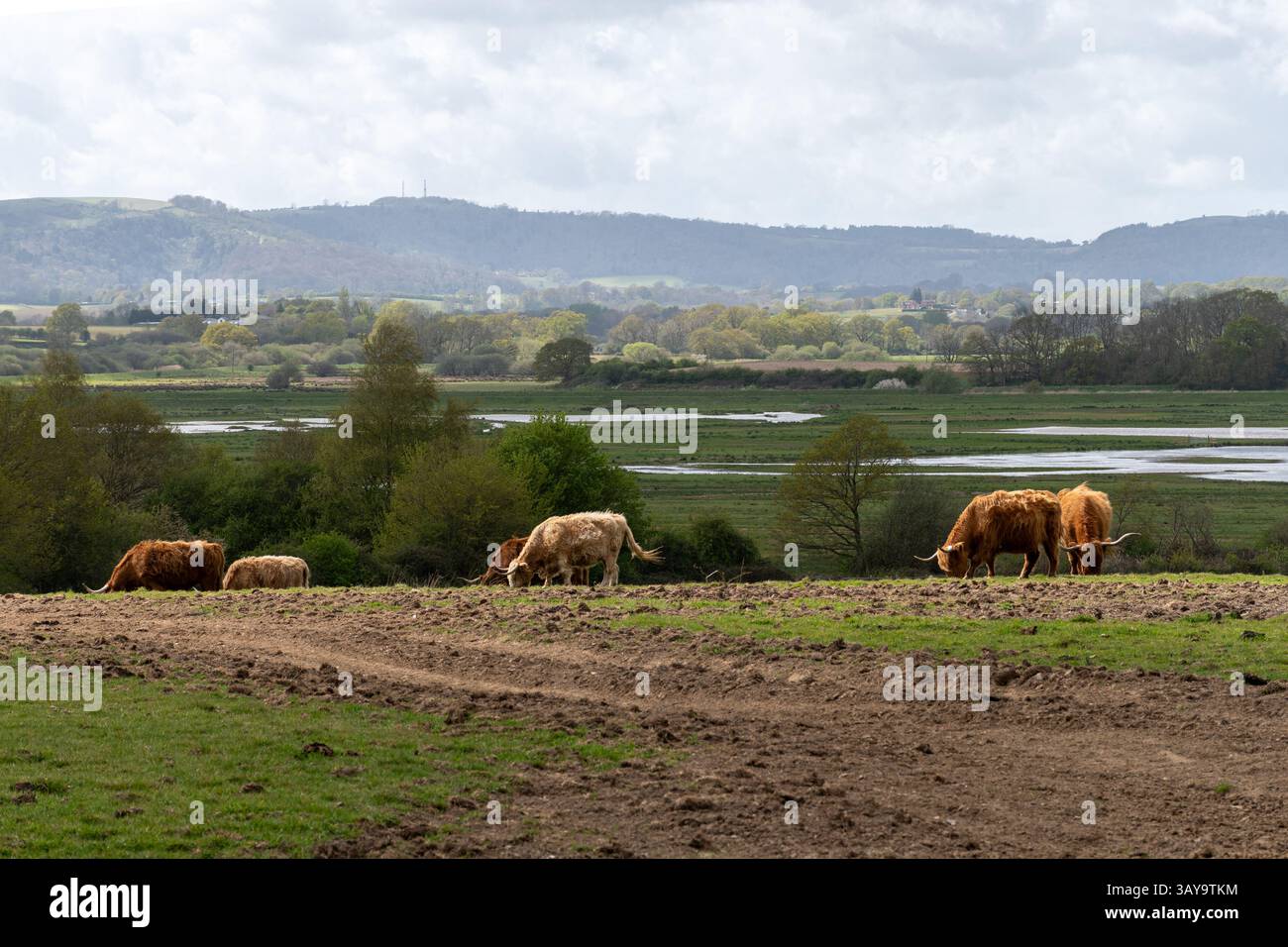 View of RSPB Pulborough Brooks, a nature reserve in West Sussex ...