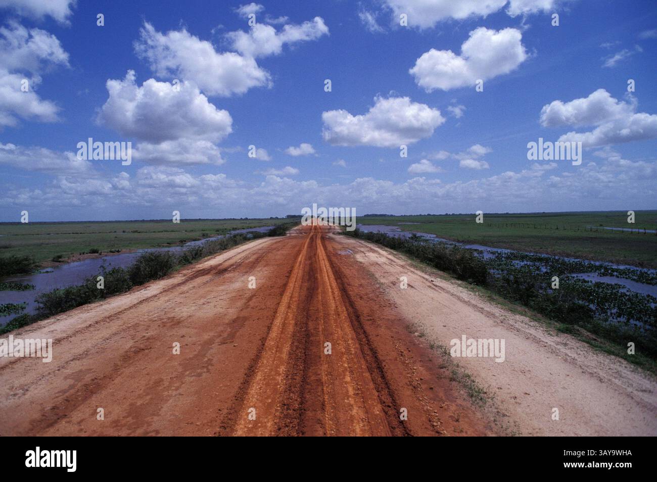 May 21, 1996; Mantecal , VENEZUELA; The dirt road leading to Hato El ...