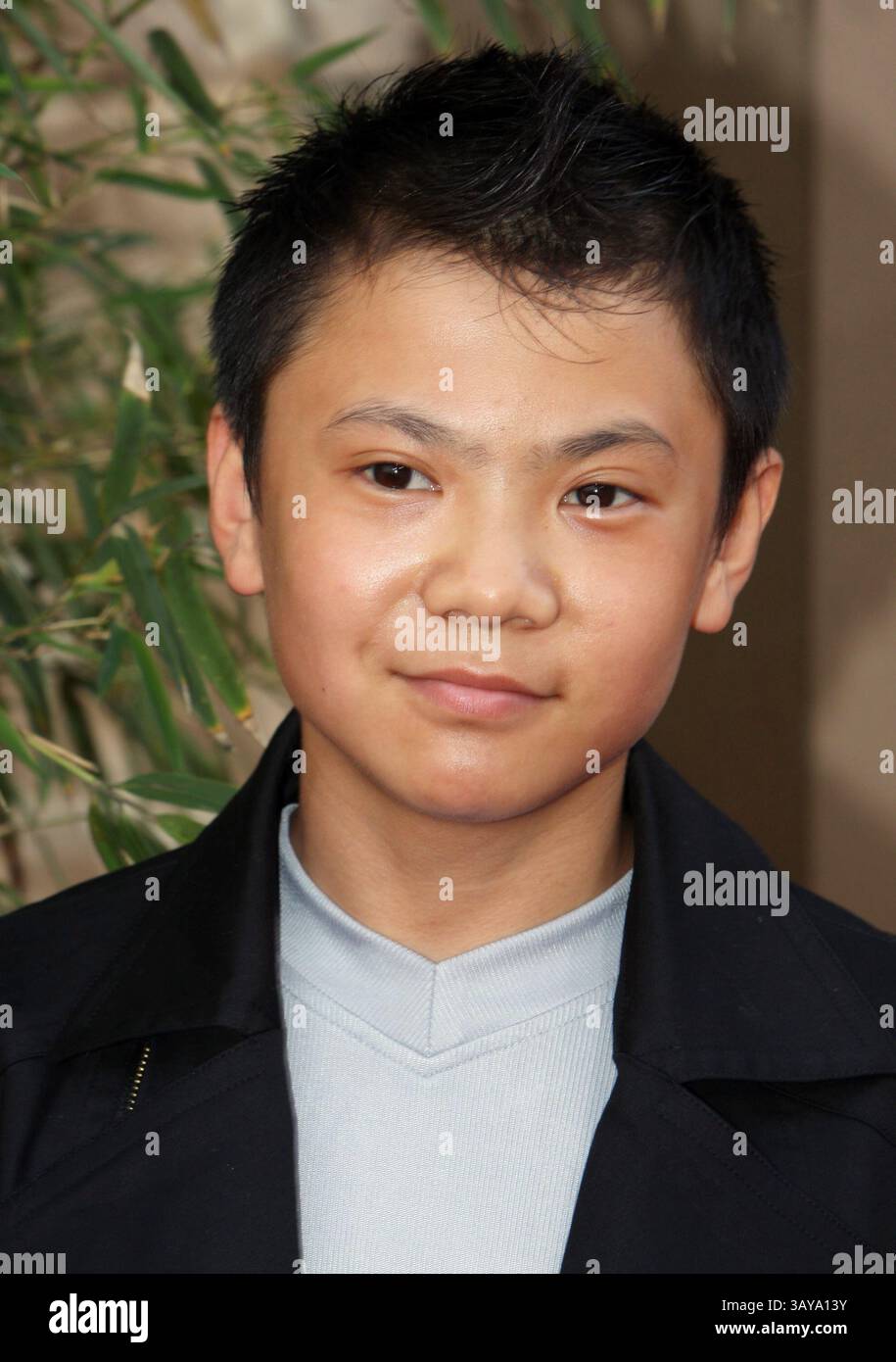 Jun 07, 2010 - Westwood, California, U.S. - Actor ZHENWEI WANG at 'The Karate Kid' Premiere held ...