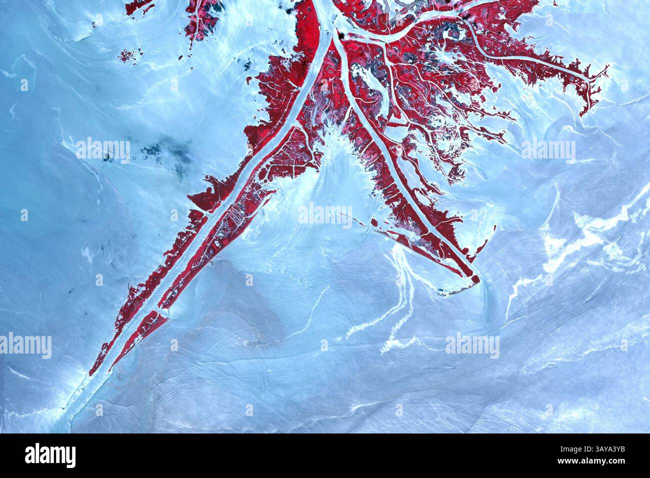 May 10, 2010 - Mississippi River Delta, Gulf of Mexico, U.S. - The ...