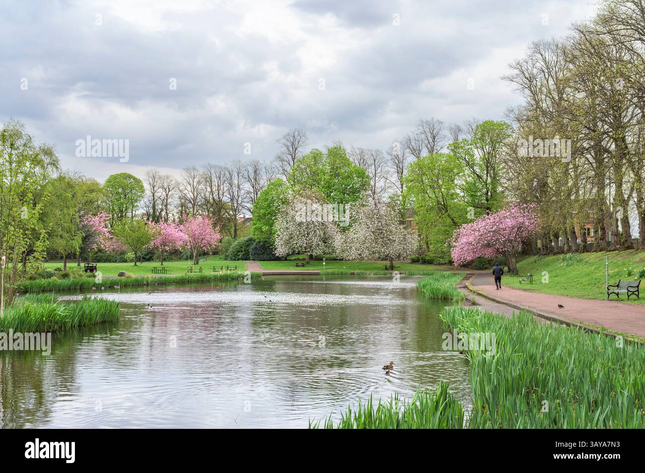 Maxwell Public Park in Spring on the southside of Glasgow, Scotland, UK ...