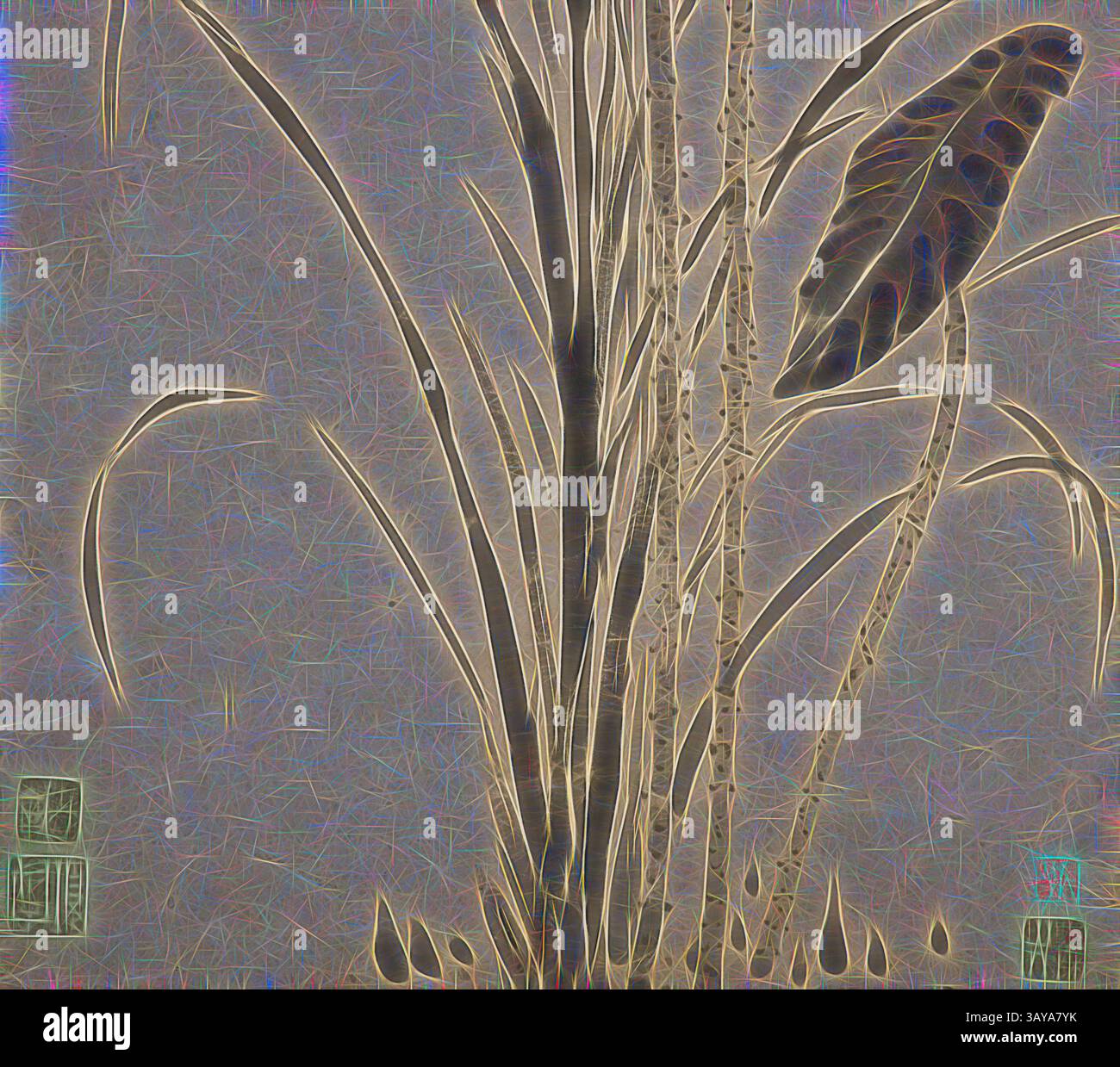 A stylized depiction of tall, slender plants with elongated leaves, set ...