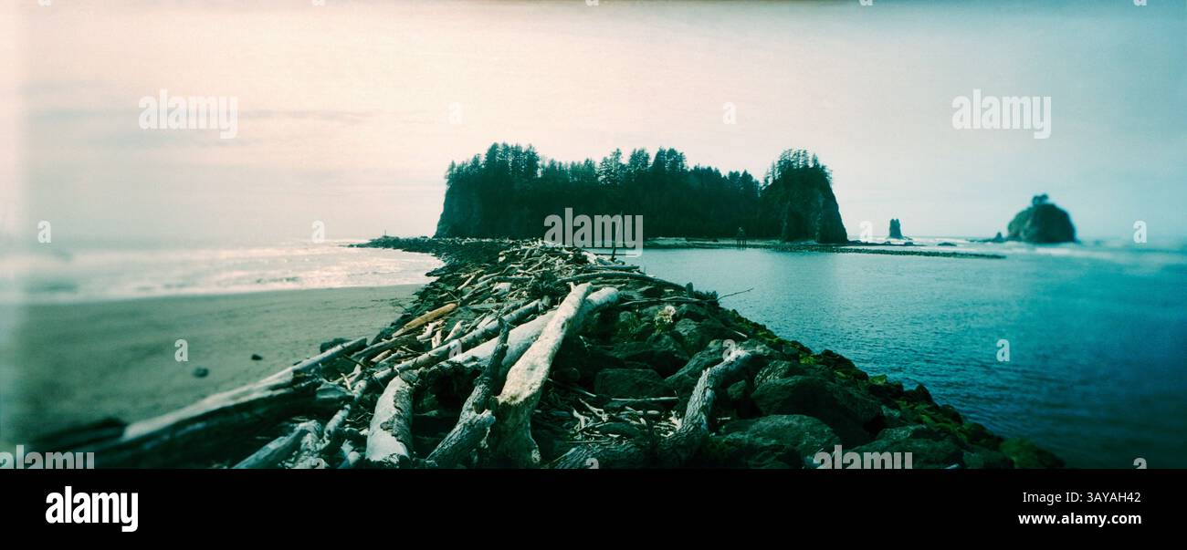 Panoramic view of Islands in the sea, La Push Beach, Olympic Peninsula ...