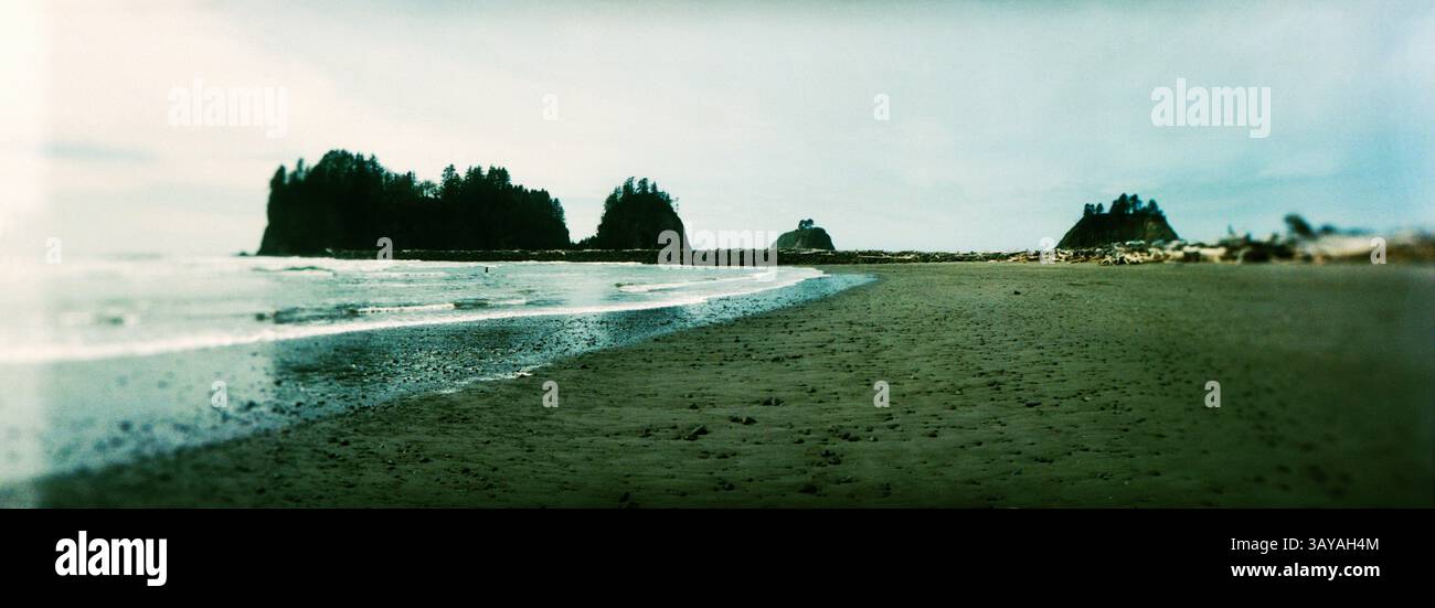 Panoramic view of Islands in the sea, La Push Beach, Olympic Peninsula ...