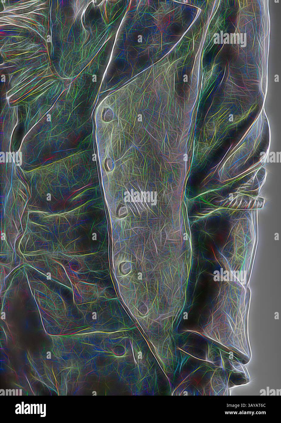 An abstract depiction of a tailored garment, showcasing intricate ...