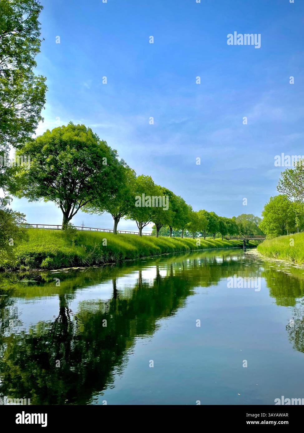 This image captures a peaceful riverside landscape with a row of ...