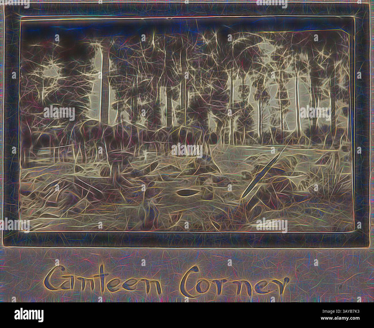 A serene corner of a forest landscape, featuring tall trees and a ...