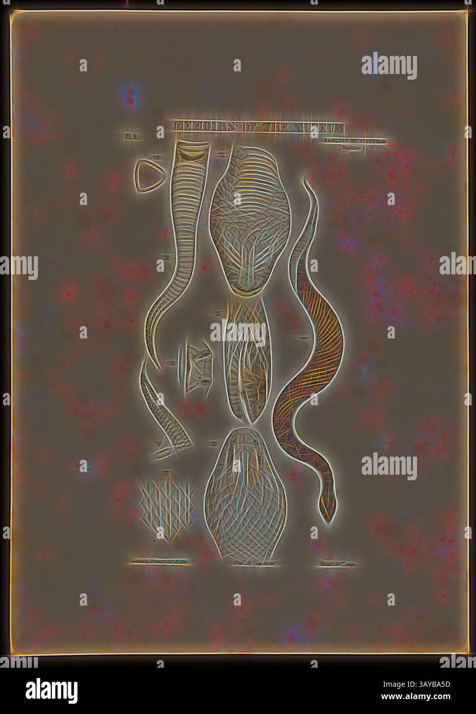 An artistic representation featuring elongated forms and intricate line ...