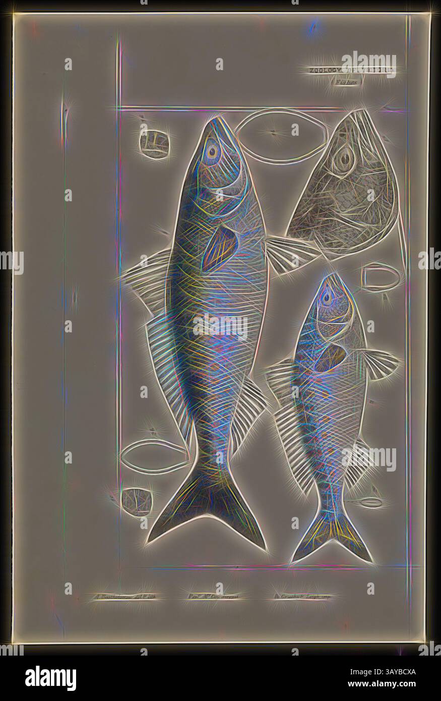 Artistic representation of various fish hi-res stock photography and ...