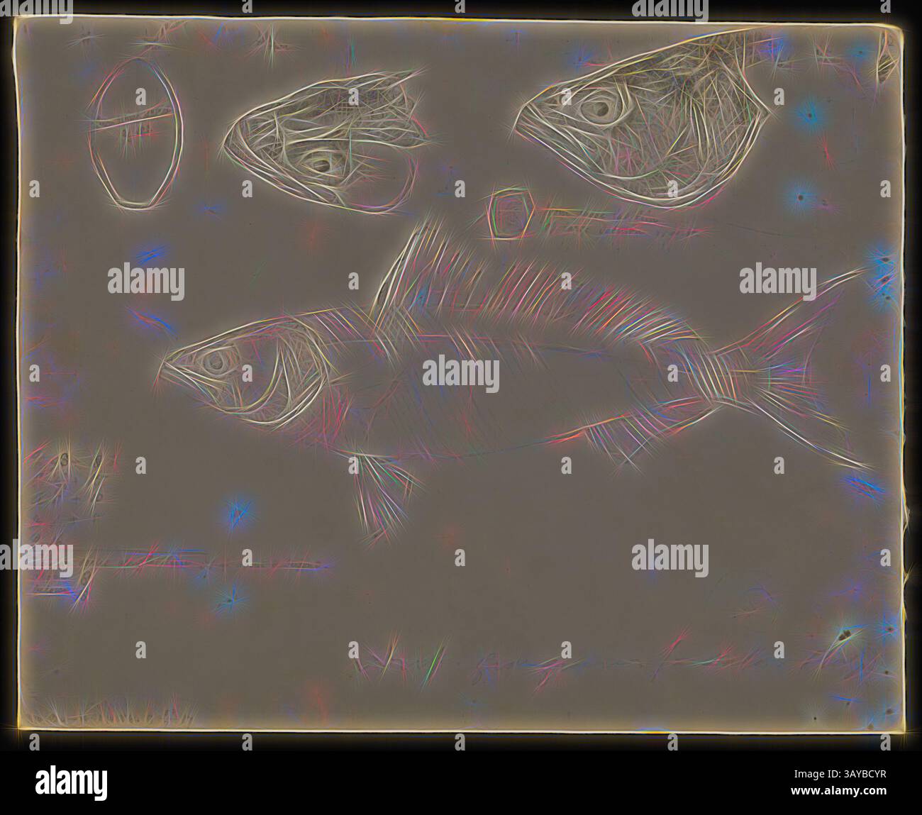 An abstract depiction of various fish forms, showcasing intricate ...