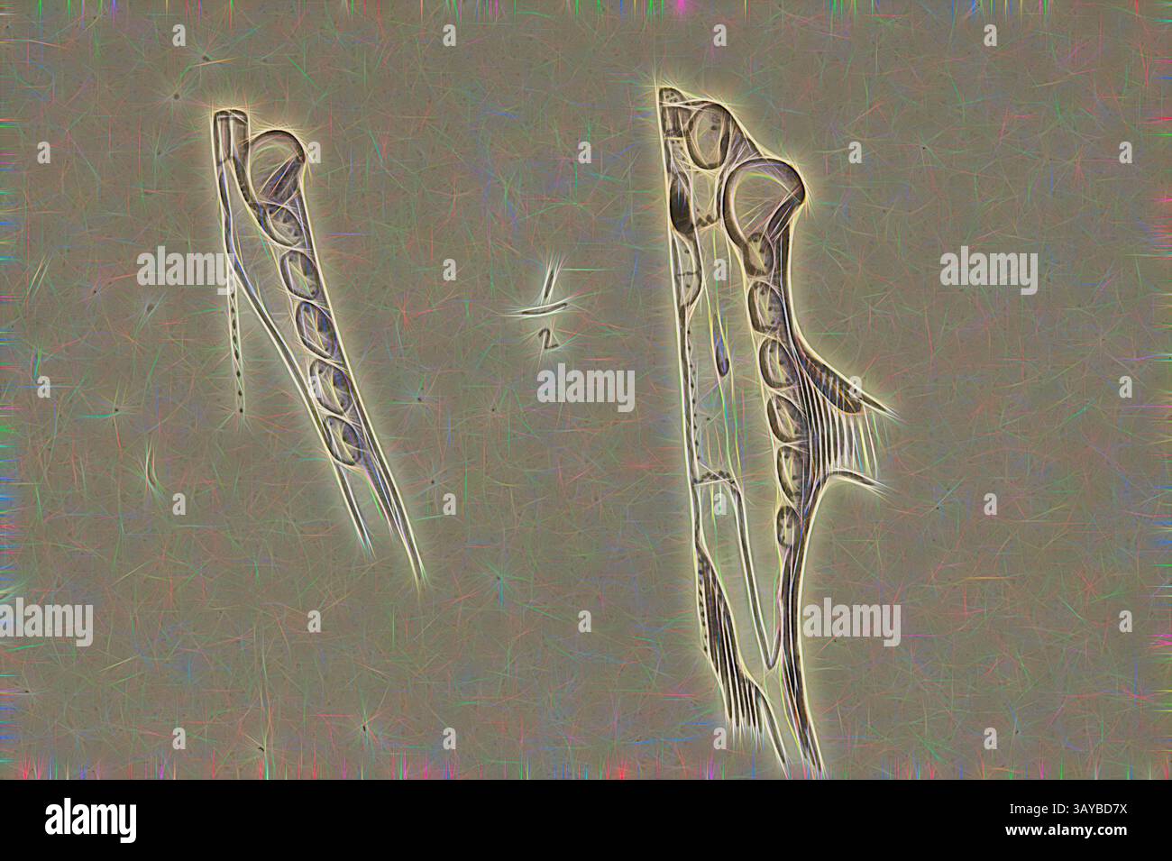 An abstract representation featuring elongated, curved forms resembling ...