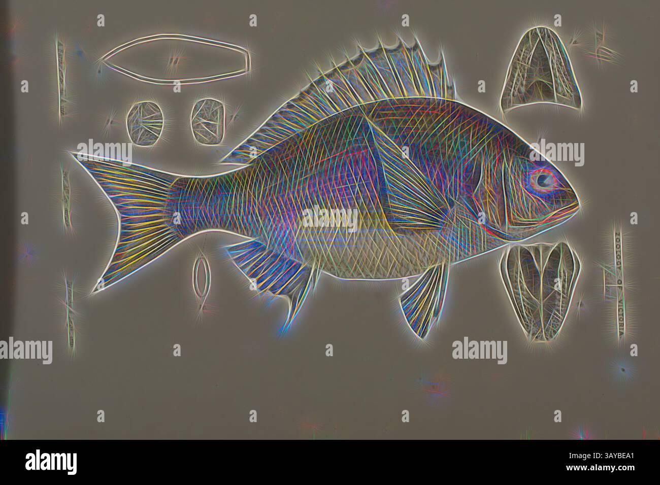 Showcasing detailed anatomical parts hi-res stock photography and ...