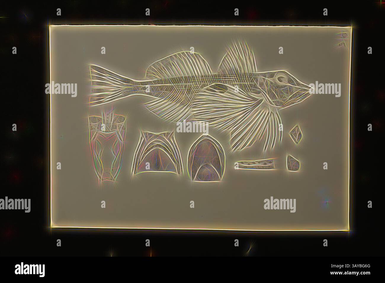 An intricately detailed illustration of a fish alongside ...