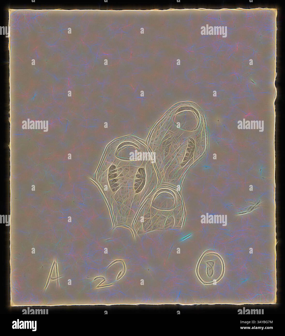 Skeletal forms emerges hi-res stock photography and images - Alamy