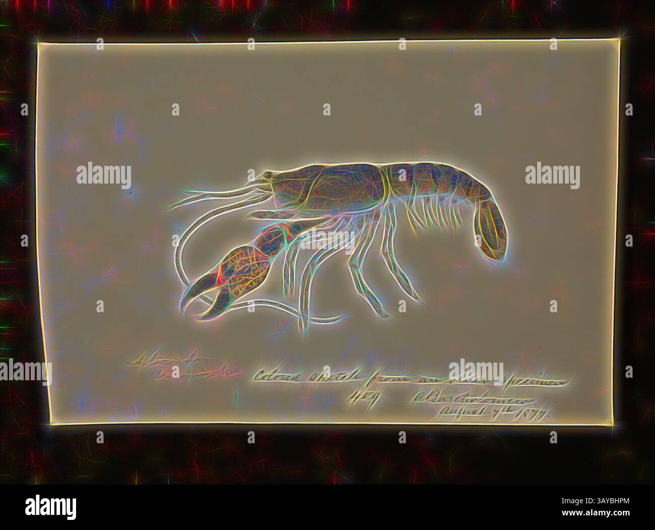 Drawing features line from hi-res stock photography and images - Alamy