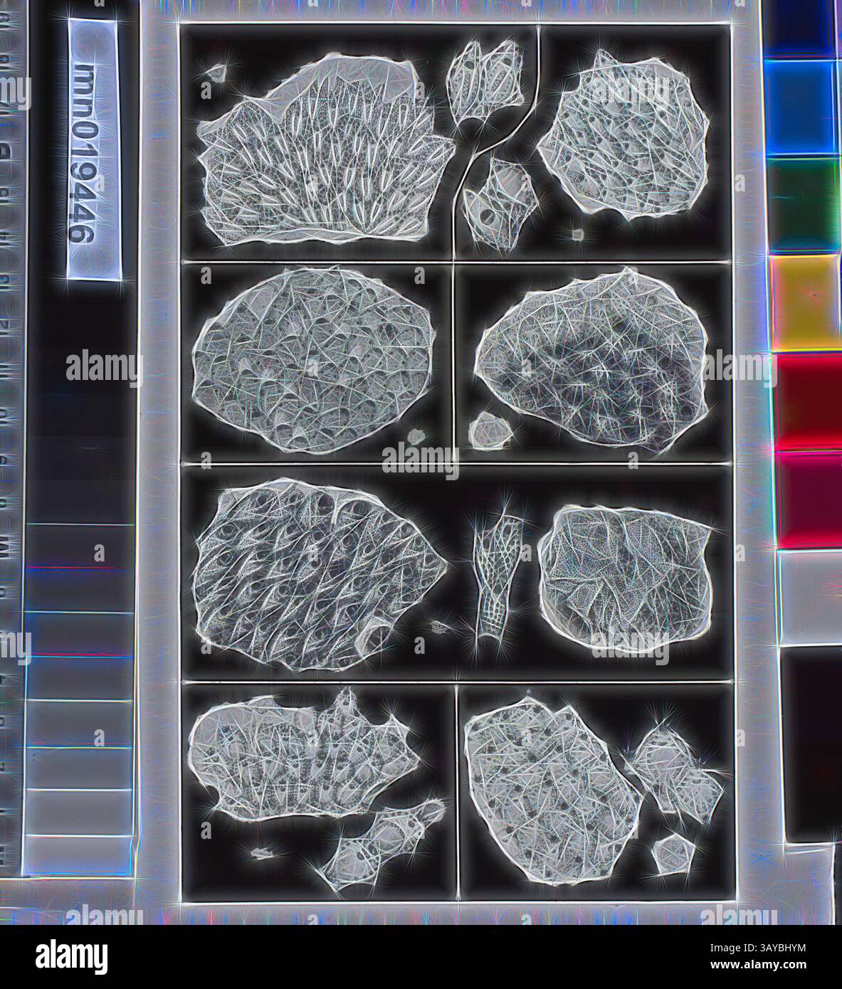 A detailed compilation showcasing various textured rock formations ...