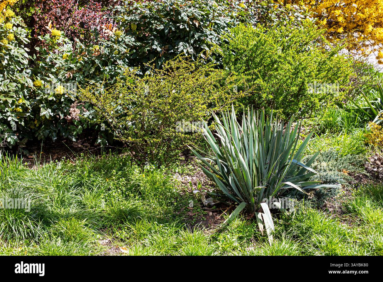 landscape design in the city with three levels of plants Stock Photo ...