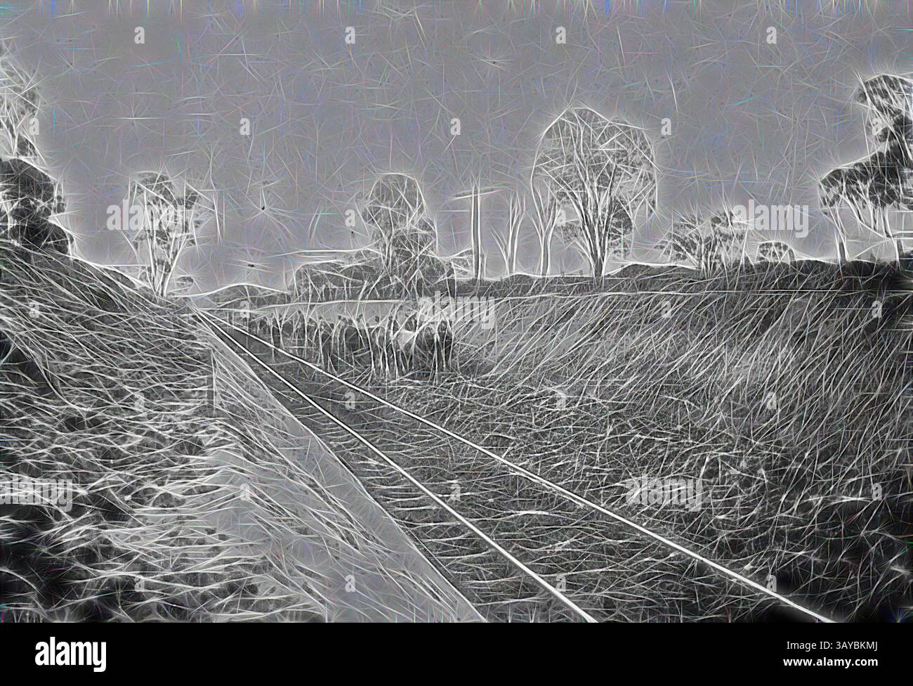 Sparse trees add hi-res stock photography and images - Alamy