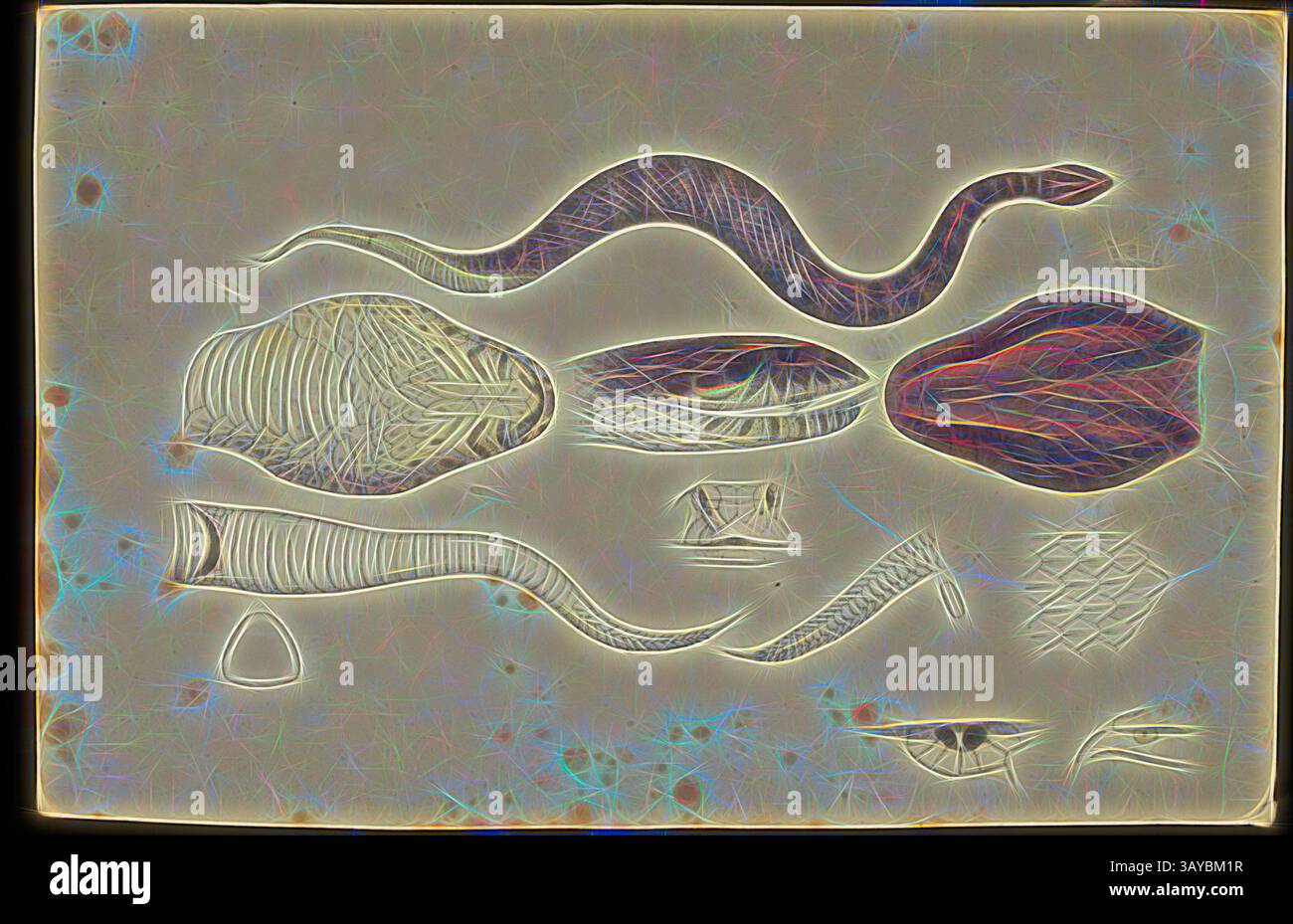 Various serpentine forms hi-res stock photography and images - Alamy